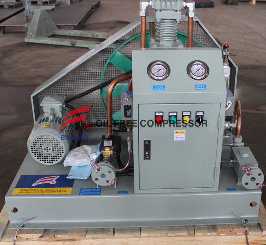 Diaphragm Nitrogen Generator Compressor for Car from China manufacturer - Anqing Bailian Oil ...