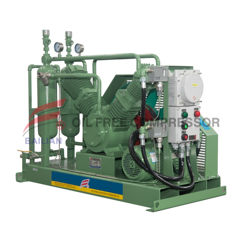 20nm3 40bar Oil Free Hydrogen Compressor from China manufacturer ...